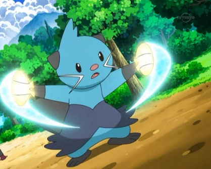 Una Final Doblemente Emocionante | La Wikia de Pokéfanon | Fandom