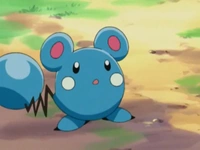 Angela (PBM) | La Wikia de Pokéfanon | Fandom