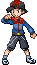 Campeonato Pokémon de Johto | La Wikia de Pokéfanon | Fandom