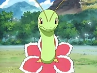 Anexo:Pokémon de PAU | La Wikia de Pokéfanon | Fandom