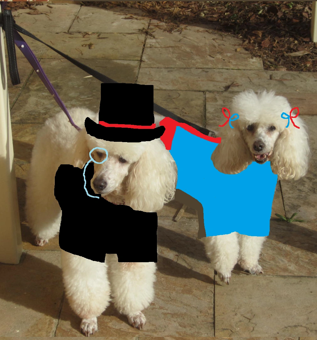 Shipping:AnimalShipping | La Wikia de Pokéfanon | Fandom