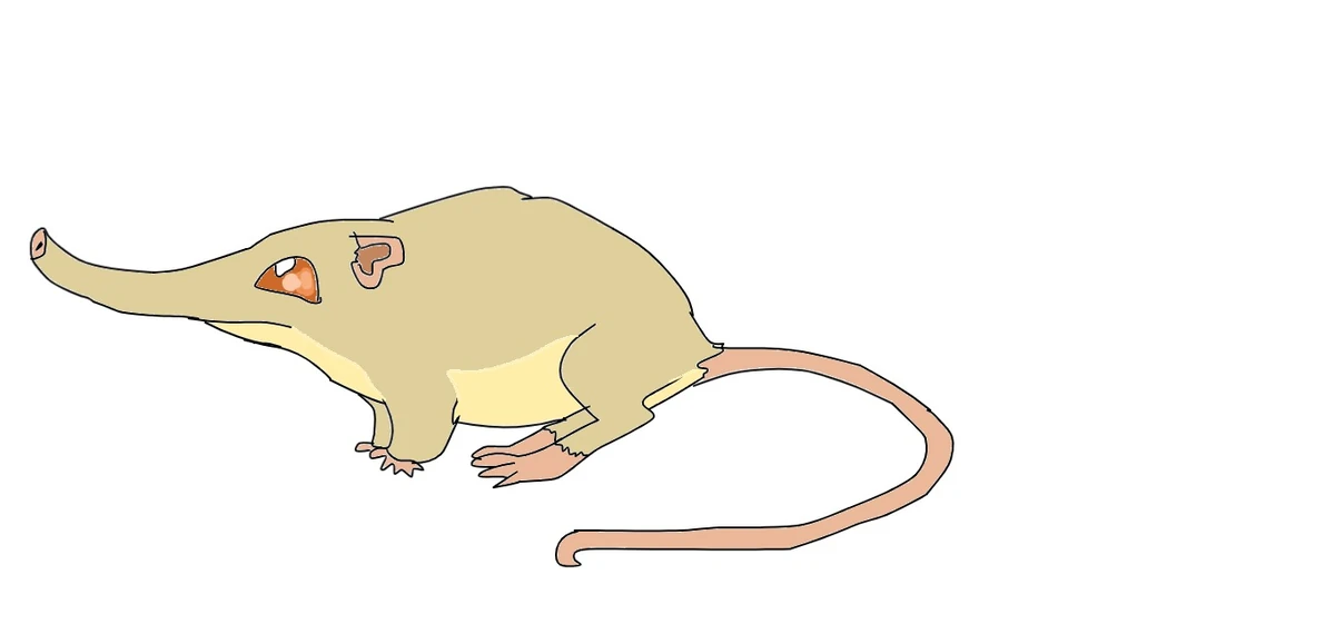 Schnozhrew | Fakemon Wiki | Fandom