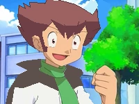 Acerón | La Wikia de Pokéfanon | Fandom