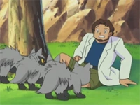 Bienvenido a Hoenn | La Wikia de Pokéfanon | Fandom