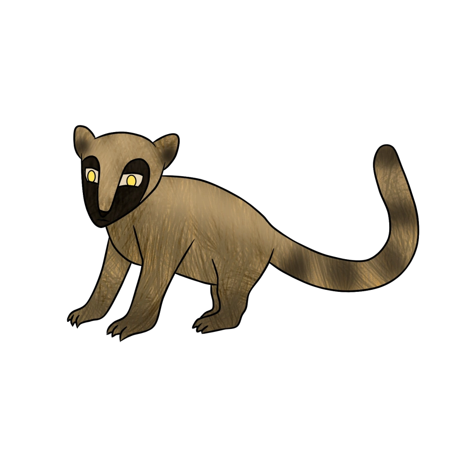 Loraco | La Wikia de Pokéfanon | Fandom