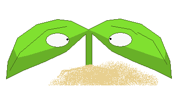 Algua | La Wikia de Pokéfanon | Fandom