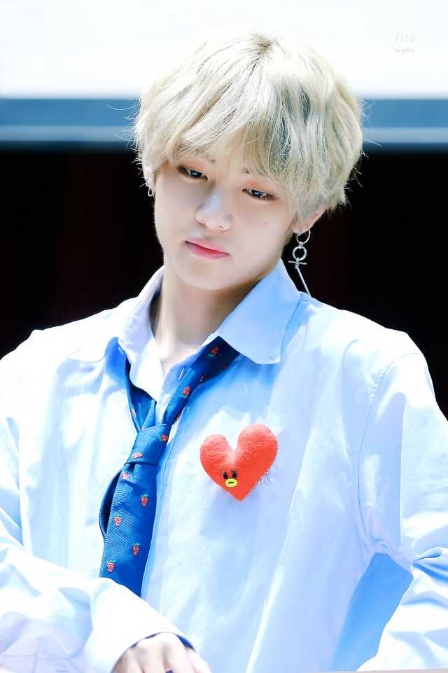 Kim Tae Hyung La Wikia De Pokéfanon Fandom