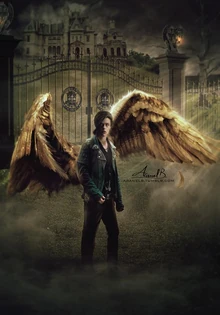 Cameron Briel | Lauren Kate Series Wiki | Fandom