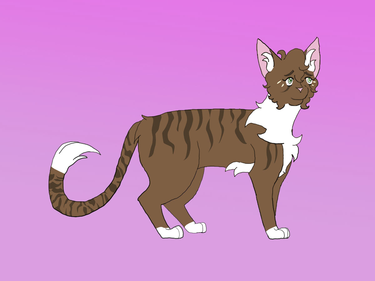 Evergreen Fallenclan Wiki Fandom