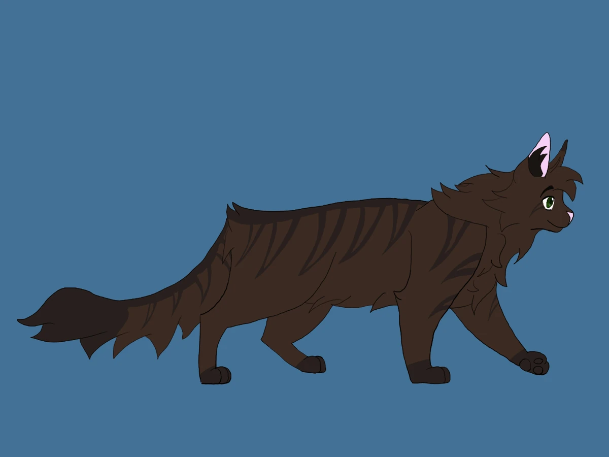 Sprucesun | FallenClan Wiki | Fandom