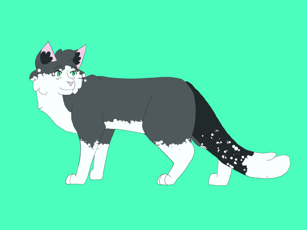 Bubblefur Fallenclan Wiki Fandom