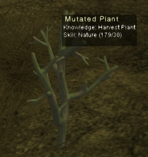 Node: Mutated Plant | Fallen Earth Wiki | Fandom