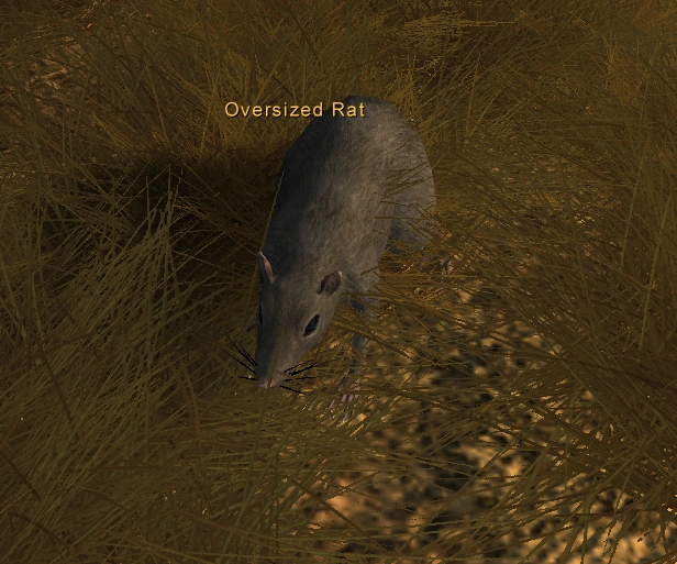 Enemy: Oversized Rat | Fallen Earth Wiki | Fandom