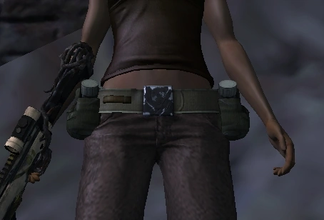 Survival Belt | Fallen Earth Wiki | Fandom