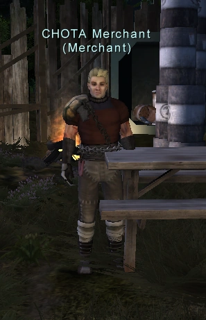 Merchant: Basic Merchant (CHOTA) | Fallen Earth Wiki | Fandom