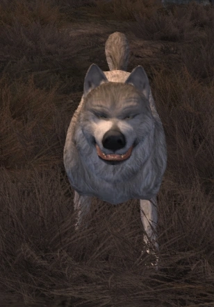 Enemy: Starved Wolf | Fallen Earth Wiki | Fandom