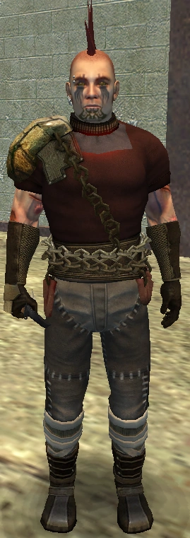 Faction: Turtle | Fallen Earth Wiki | Fandom