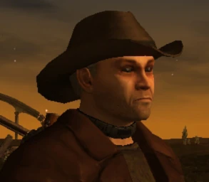 Cowboy Hat | Fallen Earth Wiki | Fandom