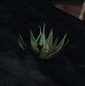 Enemy: Toro Lashpetal | Fallen Earth Wiki | Fandom