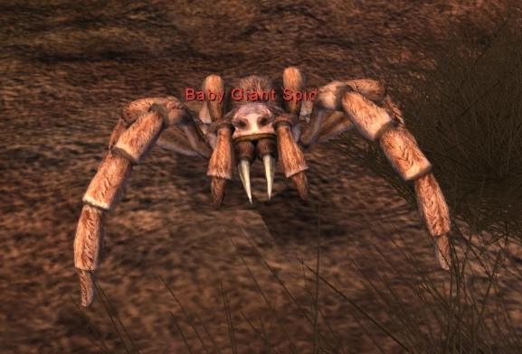 Enemy: Baby Giant Spider | Fallen Earth Wiki | Fandom
