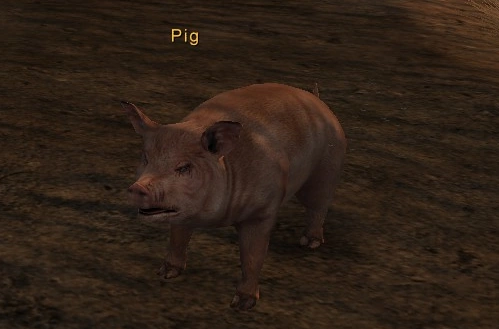 Enemy: Pig | Fallen Earth Wiki | Fandom