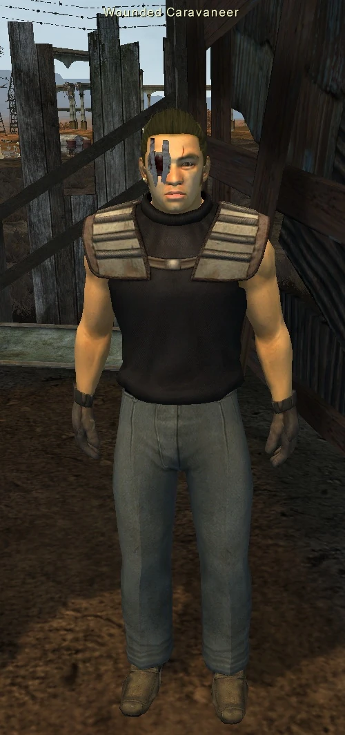 NPC: Wounded Caravaneer | Fallen Earth Wiki | Fandom