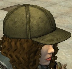 Brown Baseball Cap | Fallen Earth Wiki | Fandom