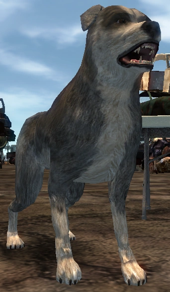 Enemy: Junkyard Dog | Fallen Earth Wiki | Fandom