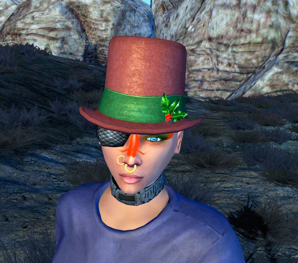 Holly Jolly Red Hat | Fallen Earth Wiki | Fandom