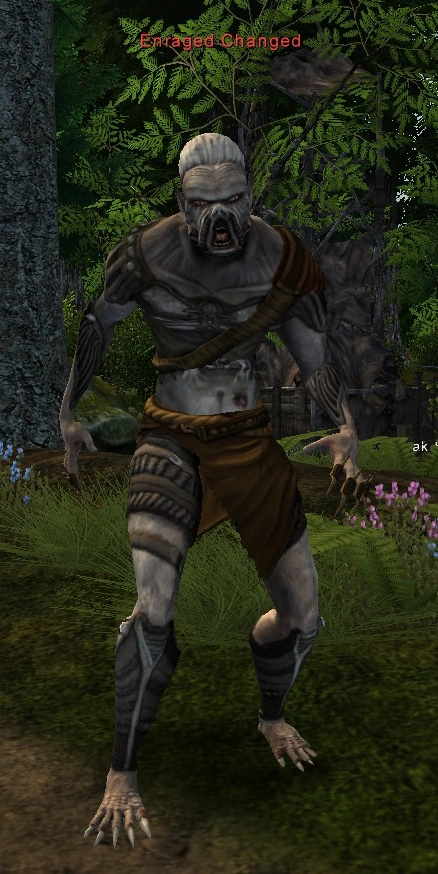 Enemy: Enraged Changed | Fallen Earth Wiki | Fandom