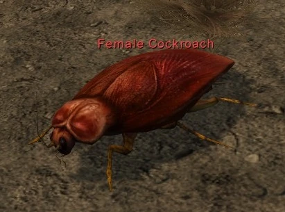 Enemy: Female Cockroach | Fallen Earth Wiki | Fandom