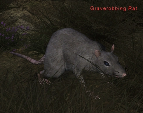 Enemy: Graverobbing Rat | Fallen Earth Wiki | Fandom