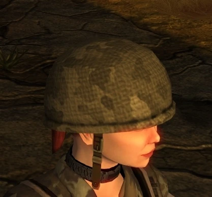 Veteran's Helmet | Fallen Earth Wiki | Fandom