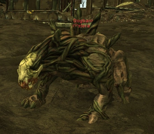 Enemy: Dogbane | Fallen Earth Wiki | Fandom