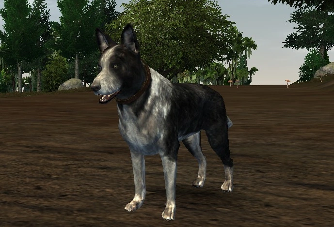 Companion: Feral Hound | Fallen Earth Wiki | Fandom