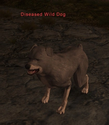 Enemy: Diseased Wild Dog | Fallen Earth Wiki | Fandom
