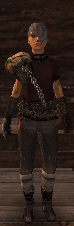 Armorcraft: Jiva | Fallen Earth Wiki | Fandom