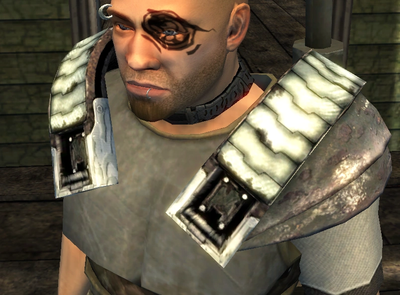 Heavy Plate Shoulder Armor | Fallen Earth Wiki | Fandom