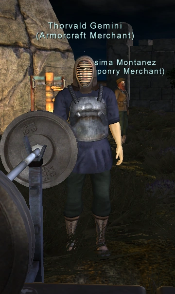 Armorcraft: Thorvald Gemini | Fallen Earth Wiki | Fandom