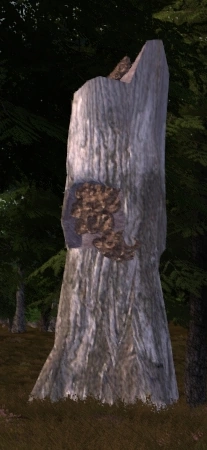 Object: Stump | Fallen Earth Wiki | Fandom