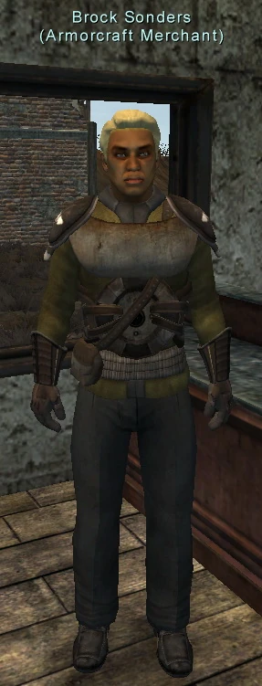 Armorcraft: Brock Sonders | Fallen Earth Wiki | Fandom