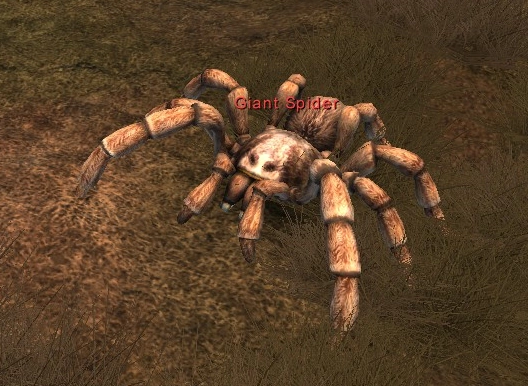 Enemy: Giant Spider | Fallen Earth Wiki | Fandom