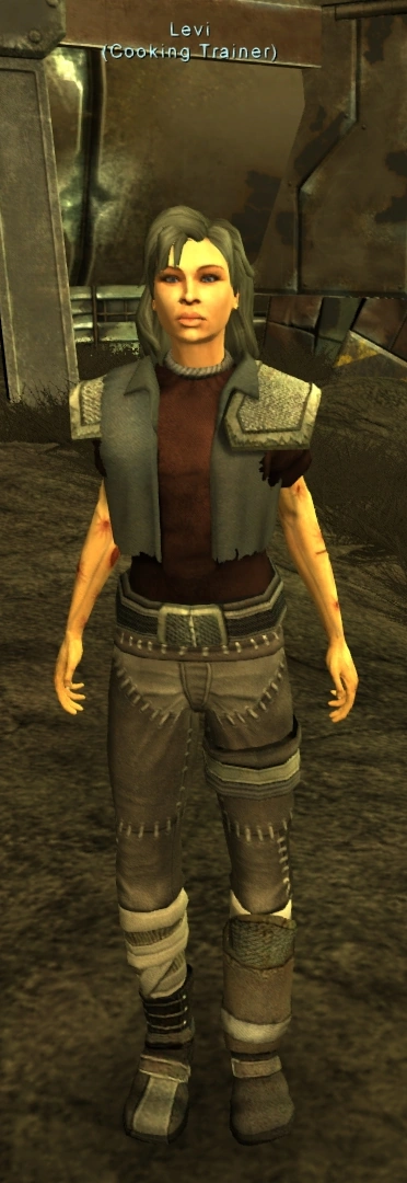 Cooking: Levi | Fallen Earth Wiki | Fandom