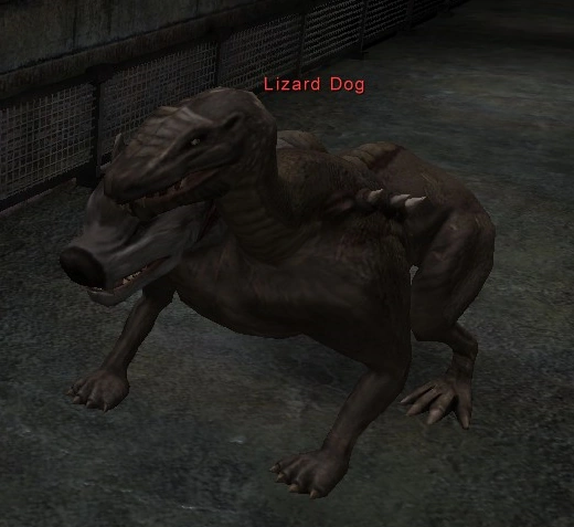 Enemy: Lizard Dog | Fallen Earth Wiki | Fandom