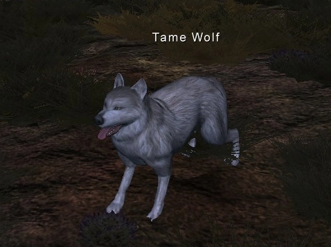 Enemy: Tame Wolf | Fallen Earth Wiki | Fandom