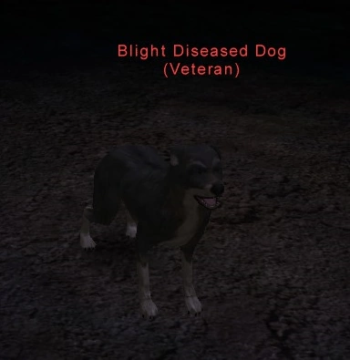 Enemy: Blight Diseased Dog | Fallen Earth Wiki | Fandom