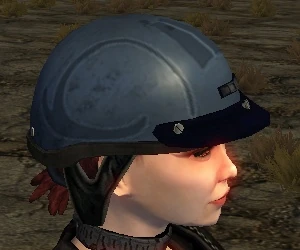 Padded Helmet | Fallen Earth Wiki | Fandom