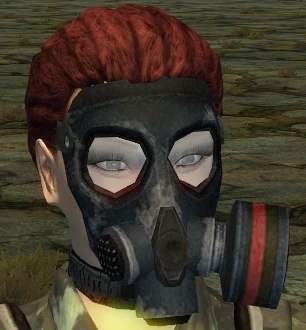 Failsafe N.B.C. Mask | Fallen Earth Wiki | Fandom