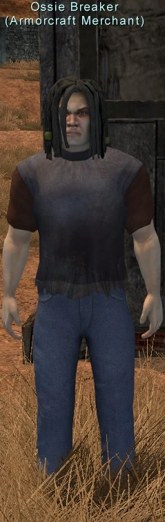 Armorcraft: Ossie Breaker | Fallen Earth Wiki | Fandom