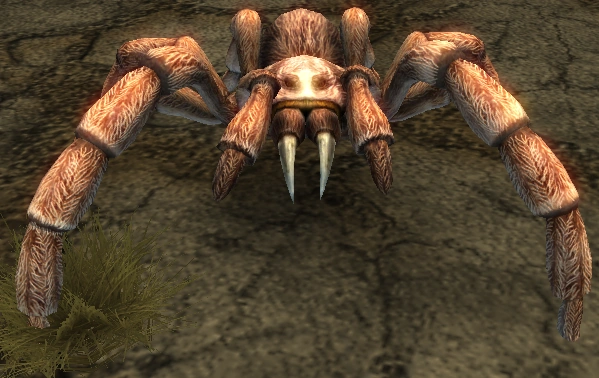 Enemy: Spider Ambusher | Fallen Earth Wiki | Fandom